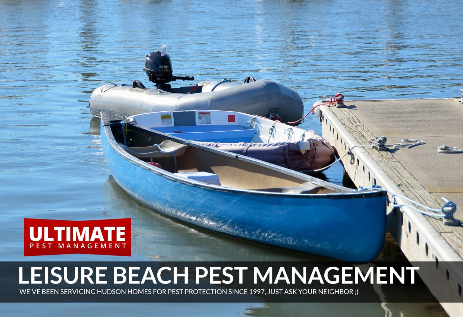 Leisure Beach Pest Management | Pest Control Pasco County | Ultimate ...